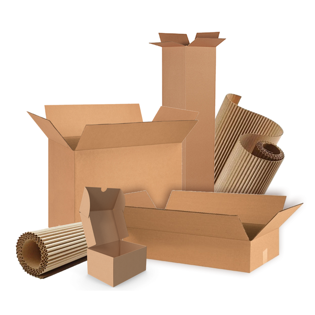 Corrugated Box Factory – Fozkudia Industrial